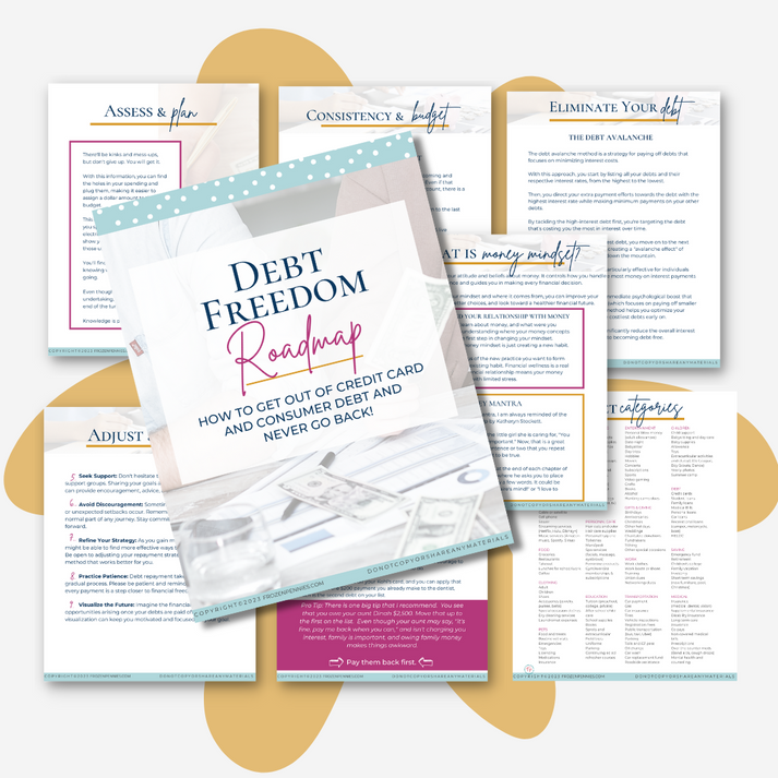 Debt Freedom Roadmap – Frozen Pennies